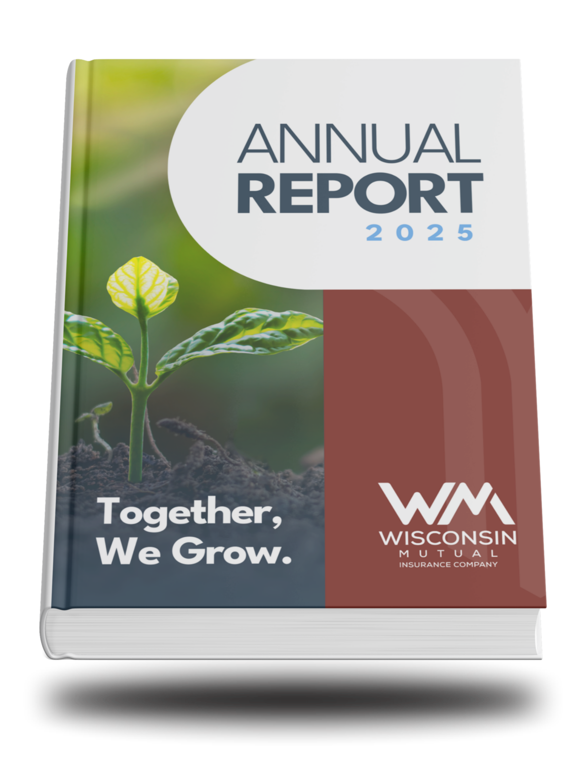Financials - Wisconsin Mutual Insurance Company